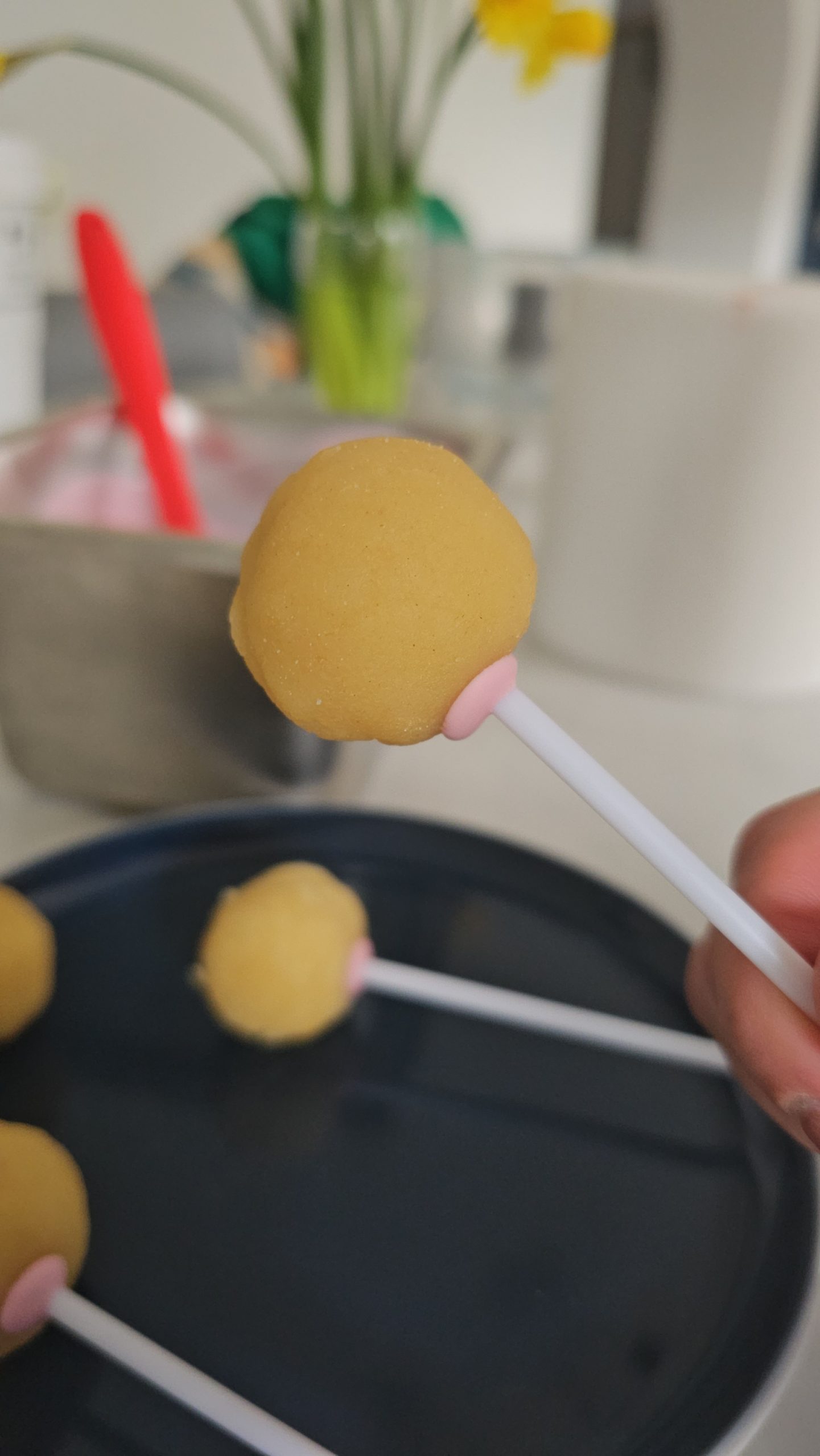 Icing Cake Pop Ideas