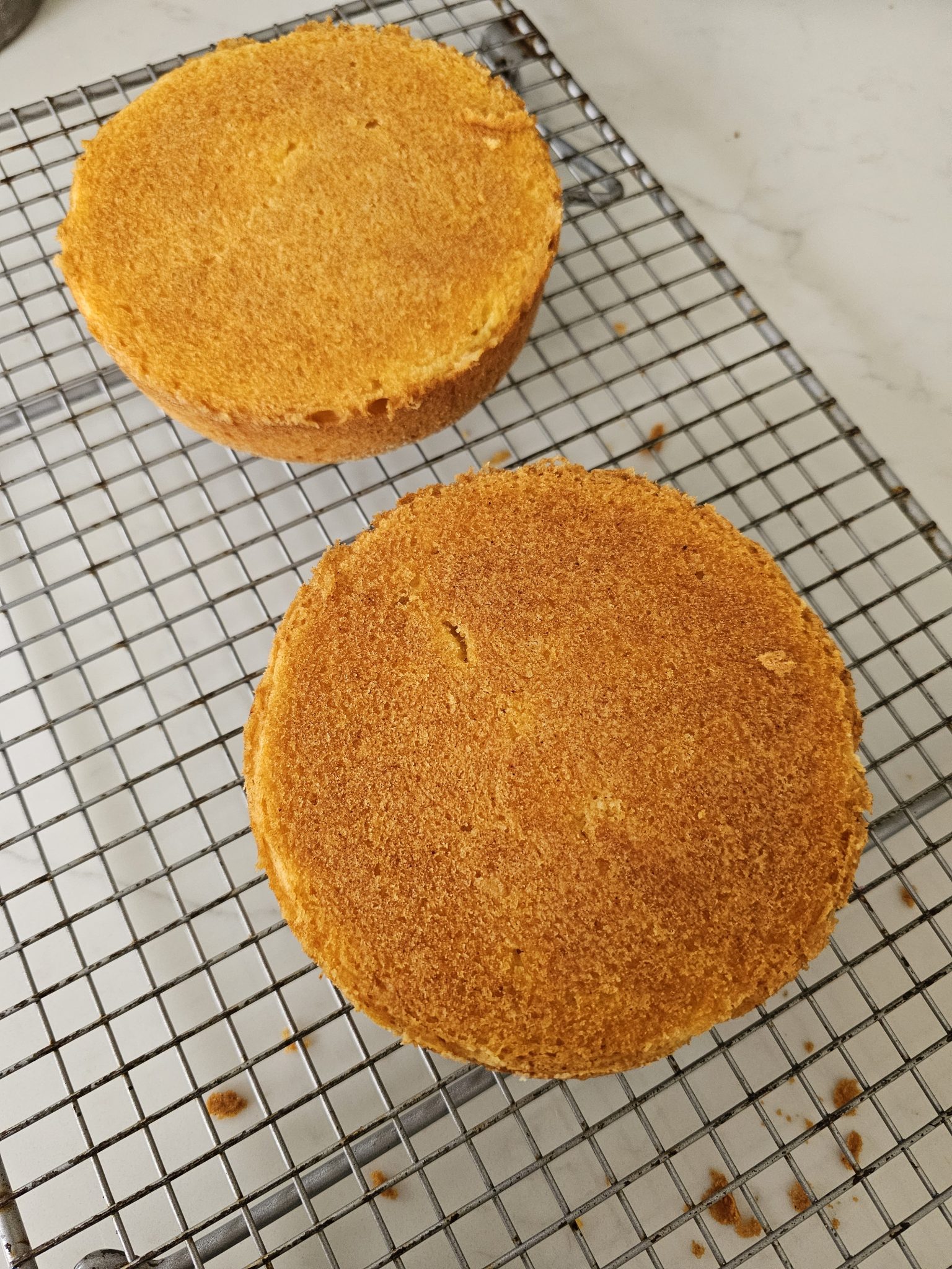 How to Make a Small Bento Cake: A Fun and Creative Sweet Treat - Carys ...